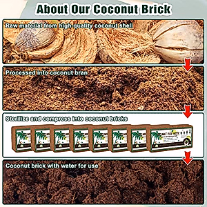 200 Pack 30mm Peat Pellets Seed Starter Pods, Seed Starter Soil Peat Pellets for Seedlings, Seeds Starting Peat Pellet for Planting Starter Pods Seeding Soil Peat Soil