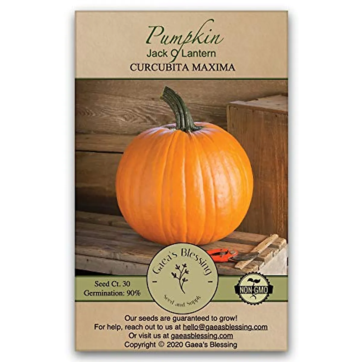 Gaea's Blessing Seeds - Pumpkin Seeds (4.0g) Jack O Lantern Non-GMO Seeds with Easy to Follow Planting Instructions - Heirloom 90% Germination Rate