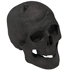 Regal Flame Human Skull Ceramic Wood Large Gas Fireplace Logs Logs for All Types of Gas Inserts, Ventless & Vent Free, Propane, Gel, Ethanol, Electric, or Outdoor Fireplaces & Fire Pits - Black