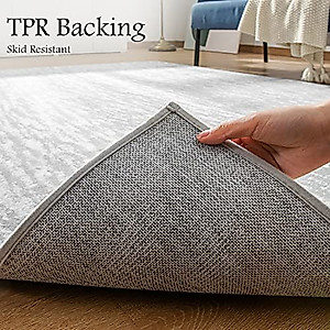 tchdio 5x7 Area Rugs-Washable Rug-Modern Abstract Area Rugs for Living Room Bedroom Dinning Room Laundry Room Study Room