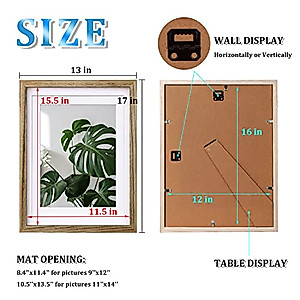 Egofine 12x16 Picture Frame with Plexiglass Made of Solid Wood, Display Pictures 9x12/11x14 with Mat or 12x16 Without Mat for Tabletop and Wall Mounting, Carbonized Brown