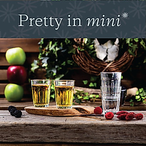 Vikko Small 3.75 Ounce Drinking Glasses, Thick and Durable Mini Glass, Great for Children, Tasting and Small Portions, Dishwasher Safe, Set of 6 Mini Clear Glass Tumblers 3.2” x 2.4”