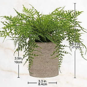 Small Fake Plant Potted Plants Artificial Decor Silk Ferns Plant Faux Plants in Pots for Home Living Room Bedroom Desk Bathroom Window Shelf Farmhouse Decoration