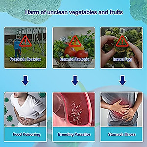 Vegetable Cleaner Device, Kallodear Fruit and Vegetable Washing Machine with USB Rechargeable Base OH-ion Purification Technology for Cleaning Vegetable Fruit - Blue