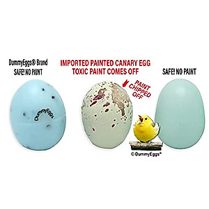 DummyEggs Canary Dummy Eggs Stop Laying! 7 Non-Toxic Solid Plastic Fake Eggs. 11/16" x 1/2" Speckled Blue-Green Plastic, Not Painted. Made in USA Brand