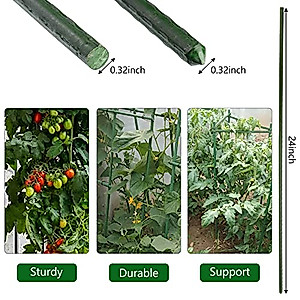 Garden Plant Stakes 24 Inch 2Ft Steel Plant Stick Support, Tomato Stakes for Growing Climbing Plants, Pack of 25