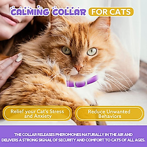 FRDUGA Calming Collar for Cats, Cat Calming Collar, All New Calming Pheromone Collar for Cats, Cat Pheromone Collar, Cat Calming Collar for Anxiety, Efficient Relieve Anxiety and Stress(4 Pcs)