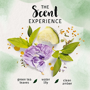 Herbal Essences bio:renew Cucumber & Green Tea Sheer Moisture Shampoo, 13.5 fl oz (Packaging May Vary)