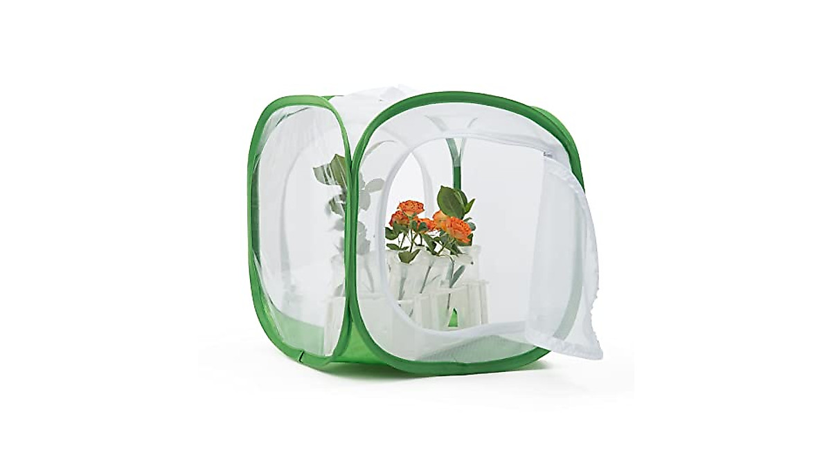 Two Doors Monarch Butterfly Habitat - Easy Butterfly Care