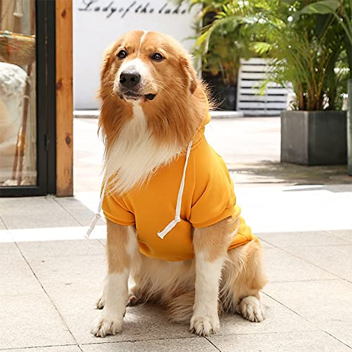 Dog Hoodie 2 Pieces Dog Hoodie Sweater with Hat and Pocket Warm and Soft Dog Sweaters for Small Medium Dogs Winter Pet Dog Puppy Hoodies Sweatshirt Cold Weather Dog Coat Clothes for Boys or Girls