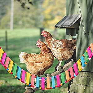 PATKAW Wooden Toys Parrot Toys Parrot Toys of 2 Chicken Swing Toy Pet Chicken Swing Toys Wood Chicken Swing Chicken Swing Toys Chicken Ladder: Climbing Climbing Toys Climbing Toys Parakeet Toys