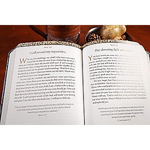 I Hear His Whisper: Encounter God's Heart for You, 365 Daily Devotions (The Passion Translation) (Imitation Leather) – Daily Messages of God's Love, ... More. (The Passion Translation Devotionals)