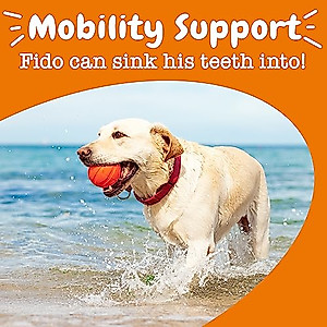 Zesty Paws OraStix for Dogs - Hip & Joint Mobility Sticks with Hemp Seed Curcumin Eggshell Membrane Taurine Support for HIPS Joints Cartilage Health Proprietary Healthy Teeth Gum Blend 25oz