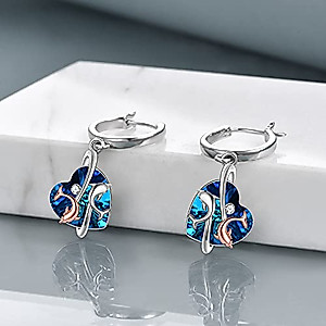 Dolphin Earrings Sterling Silver Crystal Dolphin Hoop Earrings Dolphin Jewelry Gifts for Women Daughter