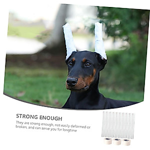BCOATH 10pcs Puppy Dog Ear Stand Ear Standing Tool Pet Ear Tape Dog Ear Support Dog Supply Ear Standing Support Stick Doberman Pinscher Bracket Foam White Pet Dog Dedicated