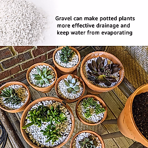 Anothera 6mm-8mm Succulent and Cactus Bonsai DIY Rocks, White Onyx, Gravel for Terrarium, Fairy Gardening, Top Dressing （3LB）