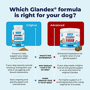 Glandex Dog Fiber Supplement Powder for Anal Glands with Pumpkin, Digestive Enzymes & Dog Probiotics for Digestive Health - Vet Recommended - Boot The Scoot (Vegan Salmon, 2.5oz Powder)