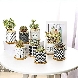 Cabilock Plant pots Ceramic Bonsai pots Ceramic Planter pots Small pots Ceramic Plants Pots Ceramic pots Tiny Plant Succulent pots Mini vases Round vase Simple Flower Pot Desktop Mini Basin