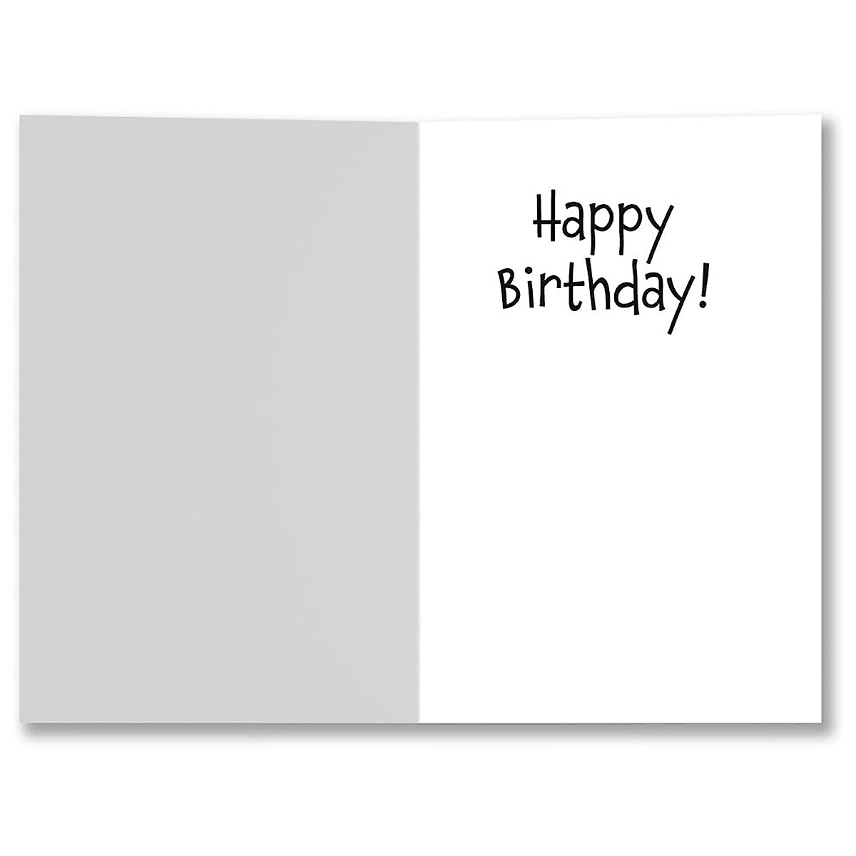 Funny Happy Birthday Card, Old Goat Birthday Card, "From One Old Goat to Another", 5"x7", each card comes with a white envelope, great for friends and family Members (1-pack)
