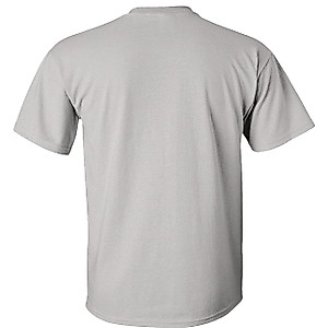 Fair Game Classic F-100 Ford Trucks T-Shirt 1953-56 F100 Pickup Truck Redline-Ice Grey-3x