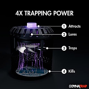 DynaTrap DT152 Indoor Insect Trap and Killer – Catches and Kills Fruit Flies, Gnats, Moths, Mosquitoes & Other Flying Insects