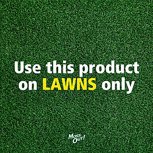 CENTRAL GARDEN BRANDS Lilly Miller Moss Out for Lawns Ready to Spray 32oz, 1-(Pack)