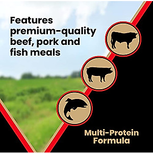 Victor Super Premium Dog Food – Grain Free Active Dog & Puppy – Dry Dog Food with 33% Protein, Gluten Free - for High Energy Dogs, 5lbs