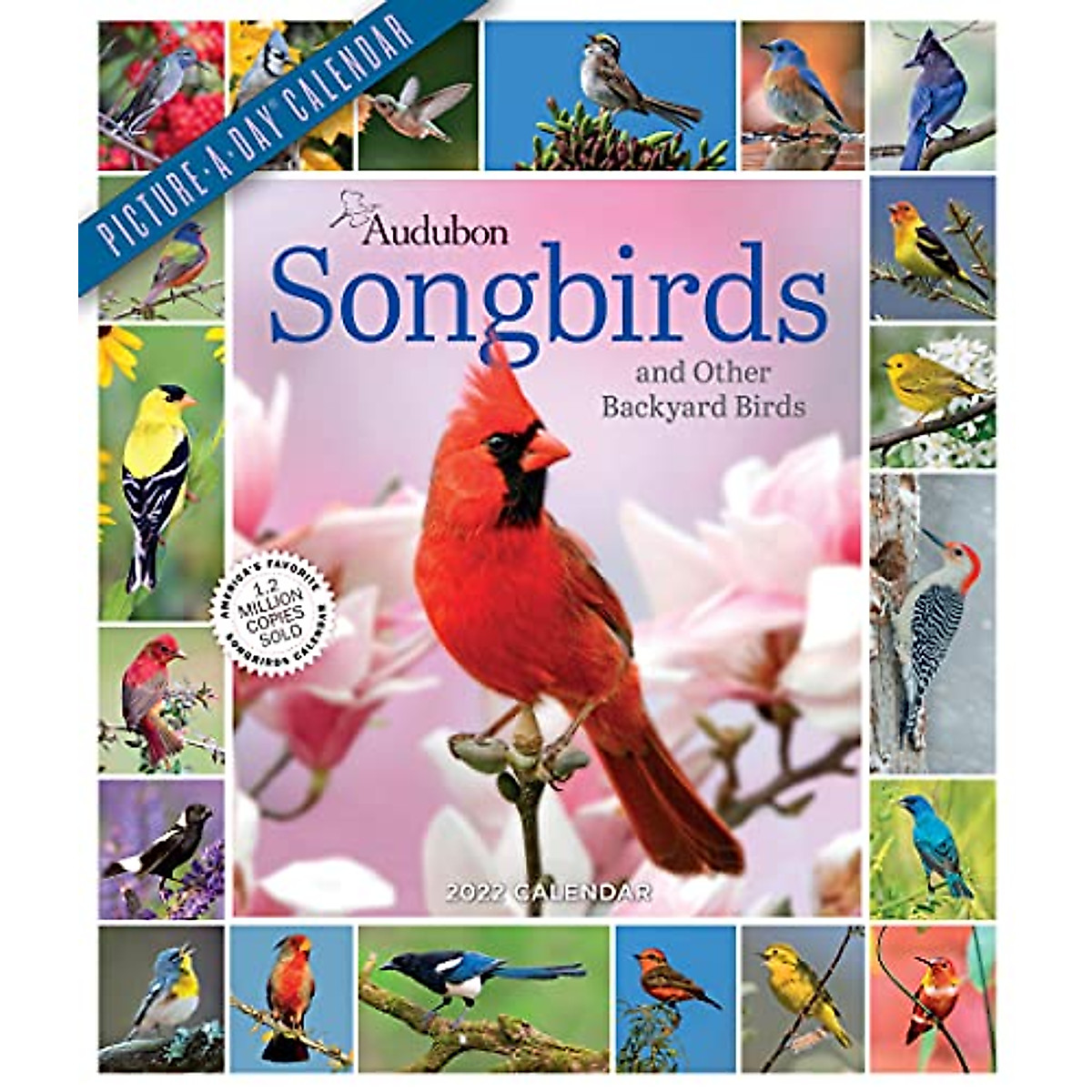 Audubon Songbirds and Other Backyard Birds Picture-A-Day Wall Calendar 2022: Your Daily Sighting of Songsters that Bring Color, Joy, and Sweet Melodies.