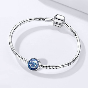 QeenseKc Pisces Zodiac Sign Charm Constellation Bule Enamel Star Charm for Pandora Bracelet Birthday Gift