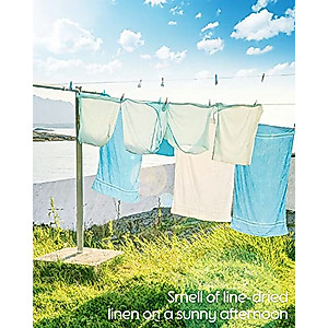 Fresh Linen Scented Candles by TRINIDa, Clean Linen Hand-Poured Soy Candles Gifts for Women, Hand-Poured Soy White Candles with Artist's Hand-Illustrated