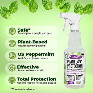Mighty Mint Peppermint Plant Protection Spray for Insects, Gnats, Fungus, Mites, and Disease, 16 oz