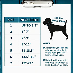 Zeaxuie Soft Inflatable Dog Cone Collar for Dogs After Surgery with Enhanced Anti-Licking for Unrestricted in Daily Life, Pack of One, Blue (Size 6)