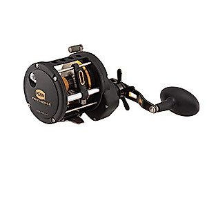Penn FTHII30LWLH Spinning Rod & Reel Combos, Black Gold
