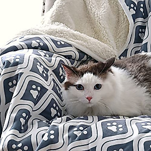 Long Rich Sherpa Fleece Pet Blanket Furniture Protector,Super Soft Warm Plush Pet Throws Blankets(White paw Ogee, 80 L x 60 W)