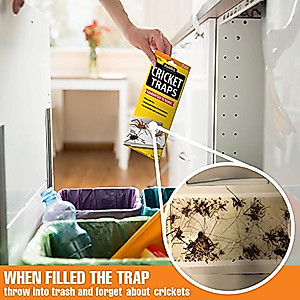 Harris Natural Cricket Glue Traps with Irresistible Lure (2-Pack)