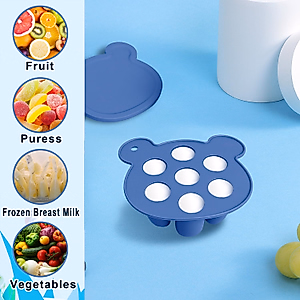 Baby Fruit Feeder Pacifier - 3 Pack | 1 Baby Food Feeder & 1 Baby Teether & 1 Baby Popsicle Molds | Breastmilk Popsicle molds | Teething Toys | Mesh Baby Feeder | Baby Feeding Set | Bebes (Steel Blue)