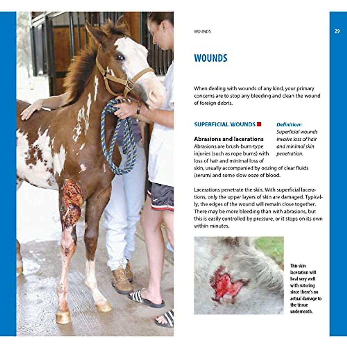 Dr. Kellon's Guide to First Aid for Horses: A Quick and Easy Reference to Conditions That Require Emergency Treatment