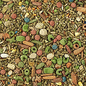 Kaytee Fiesta Guinea Pig Food, 2.5-Pound