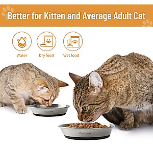 Wellbro Cat Bowls, 2 Pcs Stainless Steel Cat Bowls for Food and Water, Whisker Fatigue Shallow Non-Slip Cat Dishes Plates for Small Dog Puppies Cats