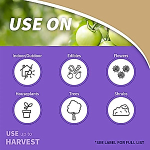 Bonide Bon-Neem II RTU 32 oz