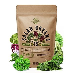 15 Lettuce & Salad Greens Seeds Variety Pack 7500+ Non-GMO Heirloom Lettuce Seeds for Planting Indoors & Outdoors Garden, Hydroponics, Aerogarden - Arugula, Kale, Spinach, Swiss Chard, Lettuce & More