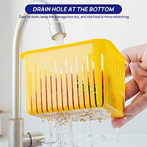 Star Ayze Berry Keeper Containers with Removable Drain Basket - Pack of 4 Fruit And Vegetable Produce Saver Container for Refrigerator Organizer Bin