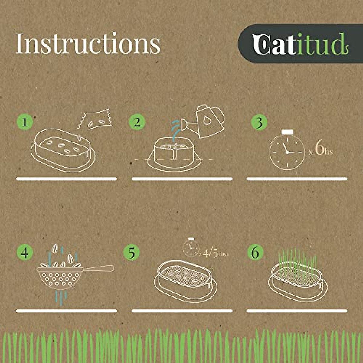 CATITUD | Cat Grass Growing Kit with 5 Packets HYDROPONIC Seeds | Cat Grass Kit Includes Pot with Non-Slip Base | Cat Grass for Indoor Cats with Planter, Best Gift for Cats