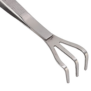 Bonsai Root Rake, 3Prong Nonslip Stainless Steel Root Rake, Ergonomic Handle for Loose Soil for Potted Plant (Bent)