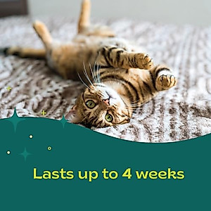 bSerene Pheromone Calming Collar for Cats Up to 30 Days Stress Relief Promotes Calmness, Reduces Hiding, Excessive Meowing, Urine Marking, Aggression, Travel Stress Drug-Free, Vet-Tested