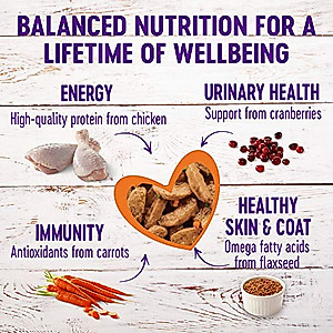 Wellness Complete Health Natural Grain Free Wet Canned Cat Food, Sliced Chicken Entree, 3-Ounce Can (Pack of 24)