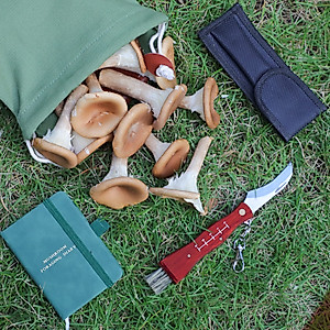 Foxyoo Mushroom Foraging Kit – Includes Foraging Bag, Mushroom Knife with Brush for Mushroom Hunting, Collecting
