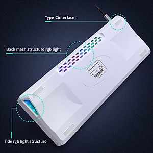 GK68 RGB Hot-Swappable Programmable Junction Box Can Be Replaced with Switch DIY Mechanical Keyboard Kit, Support AKKO, Cherry MX, Gateron, Kailh Mechanical Axis (White, White)