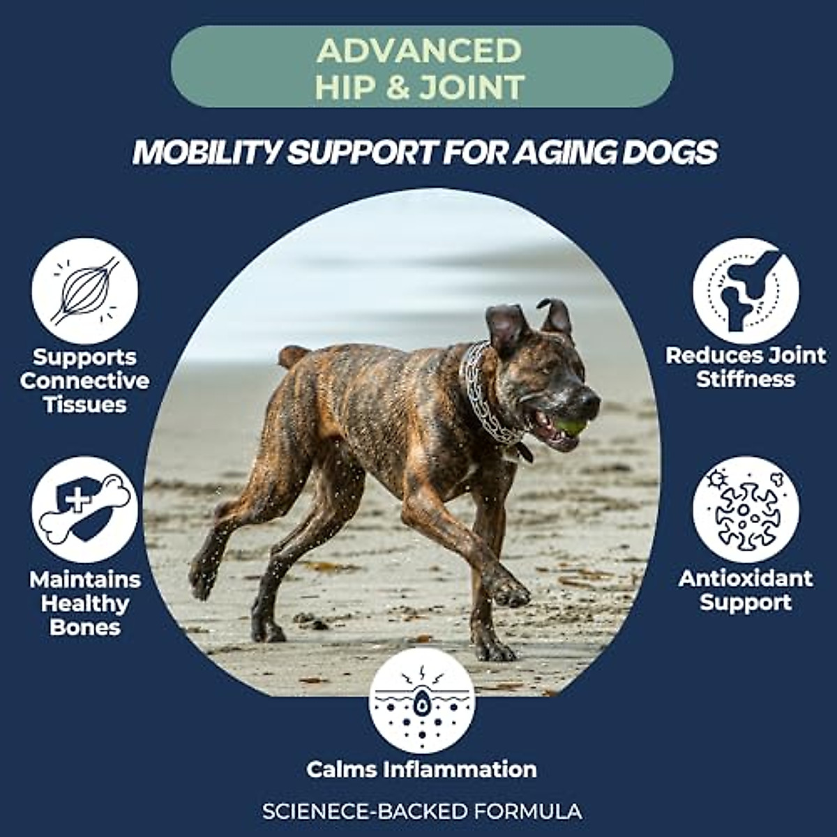 Advanced Hip & Joint Supplements for Dogs, USA Made with Glucosamine & Green Lipped Muscle for Mobility Health, 60ct