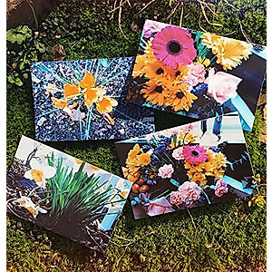 Polaroid 2x3ʺ Premium Zink Photo Paper (50 Pack) Compatible with Polaroid Mint Camera, Snap/Snap Touch Instant Print Cameras & Polaroid Mint and Zip Photo Printers